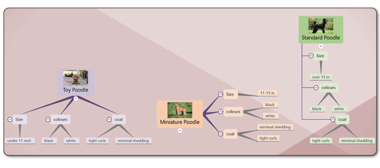 How To Create Multiple Mind Maps In One – MindGenius